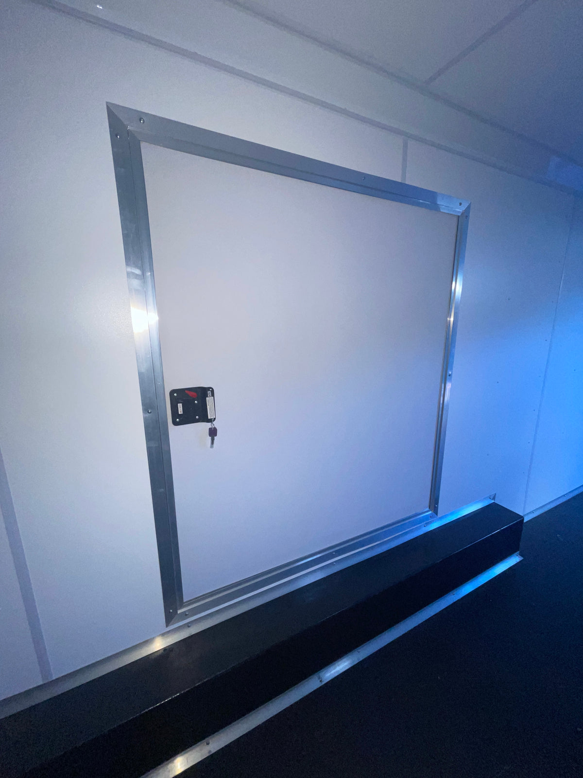 Race/Enclosed Trailer Car Hauler Escape Door W/ Frame - 48" X 54"